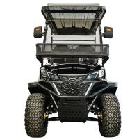China Electric 4 Seater Golf Buggy HM Customised 2 2 Seat with 48V/60V/72V Battery Voltage for sale
