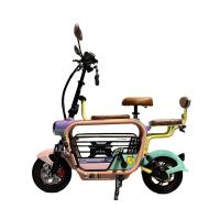 China Electric Hybrid Bicycle for Family 48V350W Motor Power 30KM/H Max Speed 15ah Battery for sale