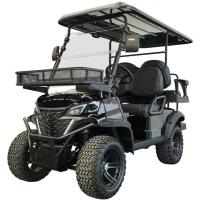 China Electric 4 Seater Golf Buggy HM Customised 2 2 Seat with 48V/60V/72V Battery Voltage for sale