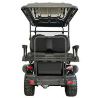 China Electric 4 Seater Golf Buggy HM Customised 2 2 Seat with 48V/60V/72V Battery Voltage for sale