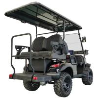 China Electric 4 Seater Golf Buggy HM Customised 2 2 Seat with 48V/60V/72V Battery Voltage for sale