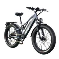 China All Terrain Snowfield Electric Bicycle with 26-Inch Aluminum Alloy Frame and Disc Brake for sale