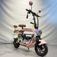 China Electric Hybrid Bicycle for Family 48V350W Motor Power 30KM/H Max Speed 15ah Battery for sale