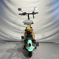 China Electric Hybrid Bicycle for Family 48V350W Motor Power 30KM/H Max Speed 15ah Battery for sale