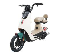 China High Range Electric Bike Adult Electric Bicycle Scooter Battery Car Motorcycle Type for sale