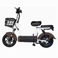 China 14inch Electric City Bike 12ah Lead Acid Battery Long Range Ebike 48V350W Electric Bicycle for sale