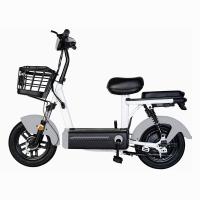 China 14inch Electric City Bike 12ah Lead Acid Battery Long Range Ebike 48V350W Electric Bicycle for sale