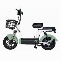 China 14inch Electric City Bike 12ah Lead Acid Battery Long Range Ebike 48V350W Electric Bicycle for sale