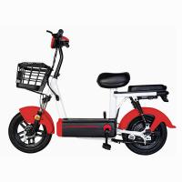 China 14inch Electric City Bike 12ah Lead Acid Battery Long Range Ebike 48V350W Electric Bicycle for sale