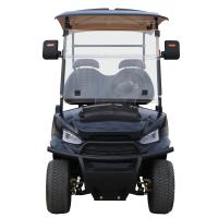 China Electric Fuel Type High End Styles 2 Person Seater Club Car Golf Cart with Lithium Battery for sale