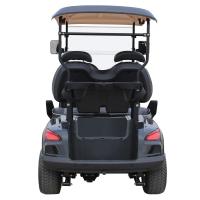 China Electric Fuel Type High End Styles 2 Person Seater Club Car Golf Cart with Lithium Battery for sale