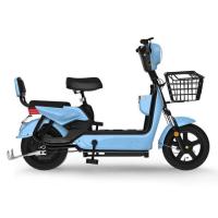 China Custom Electric Bicycle with 48V20AH Battery and Max. Speed 40km/h from Lake Horse for sale