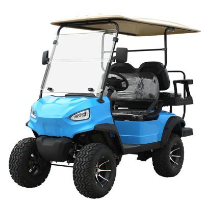 China Electric Golf Buggy 2 2 Seat Battery Operated Utility Golf Carts for Your Needs from HM for sale