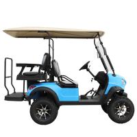China Electric Golf Buggy 2 2 Seat Battery Operated Utility Golf Carts for Your Needs from HM for sale