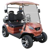 China Front Disc Rear Drum Brake System 2 Seats Mini Electric Golf Cart with Lithium Battery for sale