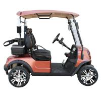 China Front Disc Rear Drum Brake System 2 Seats Mini Electric Golf Cart with Lithium Battery for sale
