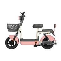 China Electric Scooter 2 Seater City Bike Bicycle with Front and Back Drum Brakes Lake Horse for sale