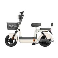 China Electric Scooter 2 Seater City Bike Bicycle with Front and Back Drum Brakes Lake Horse for sale