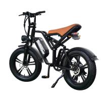 China Full Shockingproof Frame Electric Bike 20 inch Dual Shock Absorption for All Terrain for sale
