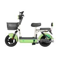 China Electric Scooter 2 Seater City Bike Bicycle with Front and Back Drum Brakes Lake Horse for sale