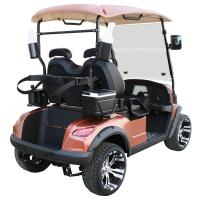 China Front Disc Rear Drum Brake System 2 Seats Mini Electric Golf Cart with Lithium Battery for sale
