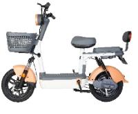 China Electric Scooter 2 Seater City Bike Bicycle with Front and Back Drum Brakes Lake Horse for sale
