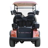China Front Disc Rear Drum Brake System 2 Seats Mini Electric Golf Cart with Lithium Battery for sale