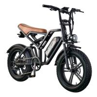 China Full Shockingproof Frame Electric Bike 20 inch Dual Shock Absorption for All Terrain for sale