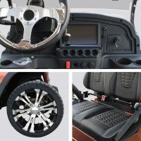 China Front Disc Rear Drum Brake System 2 Seats Mini Electric Golf Cart with Lithium Battery for sale