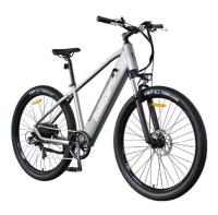 China Customized Electric Mountain Bike 29 Inch Walker Electric Shifter Battery Bike with Tires for sale