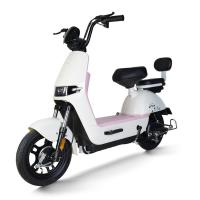 China City Bike Electric Bicycle with 48V800W Motor Power and 48V9tubes Controller for sale