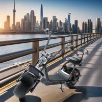 China Electronic Citycoco Removable Battery Fat Tire Scooter 1000W with NO Foldable Design for sale