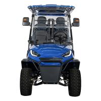 China Maintenance-free battery 8V*150AH*6 3-hour rate Off Road Golf Cart for 3 4 Seats for sale