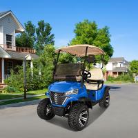 China 2 Seater Mini Lifted Golf Cart Buggy Car With 48v Ac Motor Electric Golf Car Scooter for sale