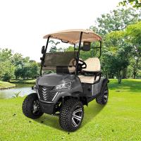 China 2 Seater Mini Lifted Golf Cart Buggy Car With 48v Ac Motor Electric Golf Car Scooter for sale