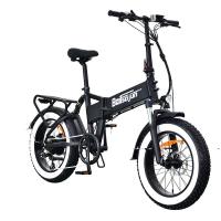 China Steel Rim Material Fat Tire Electric Bike with Li-Ion Battery and 20 Inch Wheel Size for sale