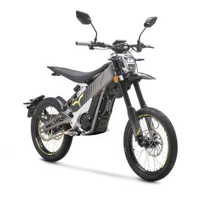 China Electric Moto Bike Lake Horse Adult Electric Motorcycle With 60V Voltage for sale