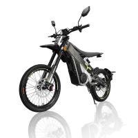 China Electric Moto Bike Lake Horse Adult Electric Motorcycle With 60V Voltage for sale