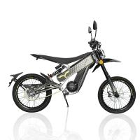 China Electric Moto Bike Lake Horse Adult Electric Motorcycle With 60V Voltage for sale