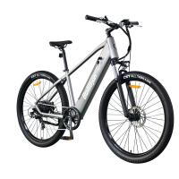China Electric Variable Speed Battery Bike with Full Shockingproof Frame and 29 Inch Wheels for sale