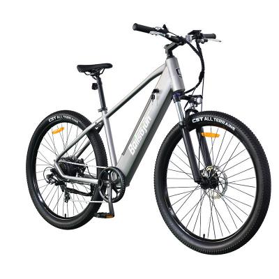 China Electric Variable Speed Battery Bike with Full Shockingproof Frame and 29 Inch Wheels for sale