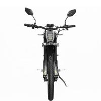China Electric Moto Bike Lake Horse Adult Electric Motorcycle With 60V Voltage for sale