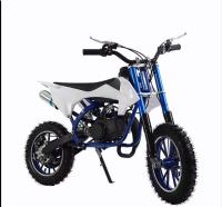 China 2023 49cc Mini Off-Road Racing Pocketbike with 2-Stroke Engine and 8inch/10inch Wheels for sale