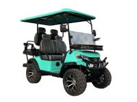 China Manufacture Production Electric Golf Cart 2 Seat with KDS AC Asynchronous Motor 48V5KW for sale