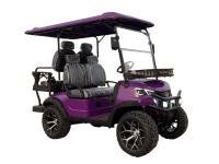 China Manufacture Production Electric Golf Cart 2 Seat with KDS AC Asynchronous Motor 48V5KW for sale