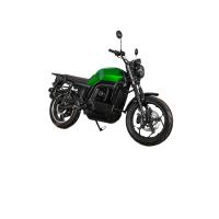 China 2080*620*1100mm Electric Motorcycle Vintage Style with 2024 Battery Conversion Kit for sale