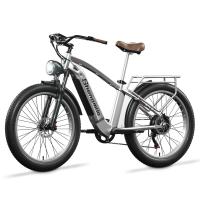 China Red Color 21 Speed Electric Bike for Vintage Mountain Riding 26 Inch Adult Folding Bike for sale