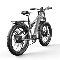 China Eight Square Brushless Motor 48v500w Electric Bicycle for OEM Mountain Bike Cycle Logo for sale