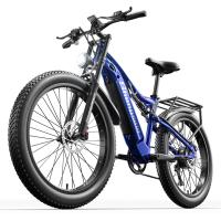 China Steel Rim Material High Power Electric Bicycle Direct Overseas Assist Model OEM Allowed for sale