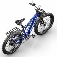 China Steel Rim Material High Power Electric Bicycle Direct Overseas Assist Model OEM Allowed for sale